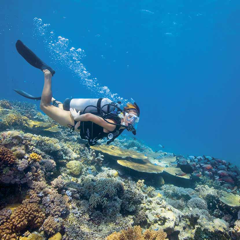 Water Based Adventure On Lizard Island - Luxurylodgesofaustralia.com.au