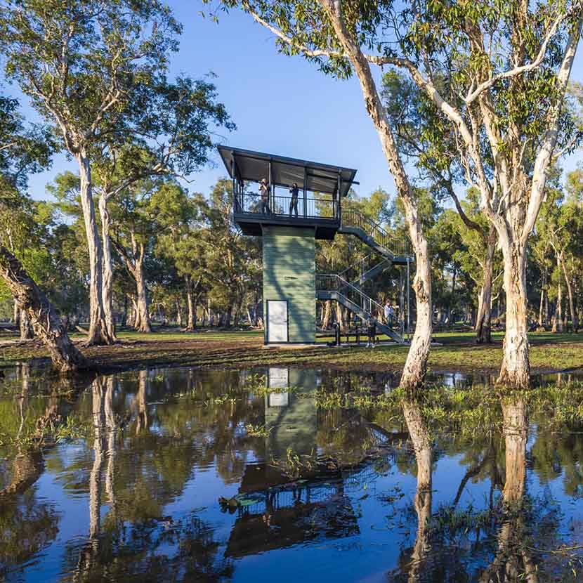 The Hide - Luxurylodgesofaustralia.com.au