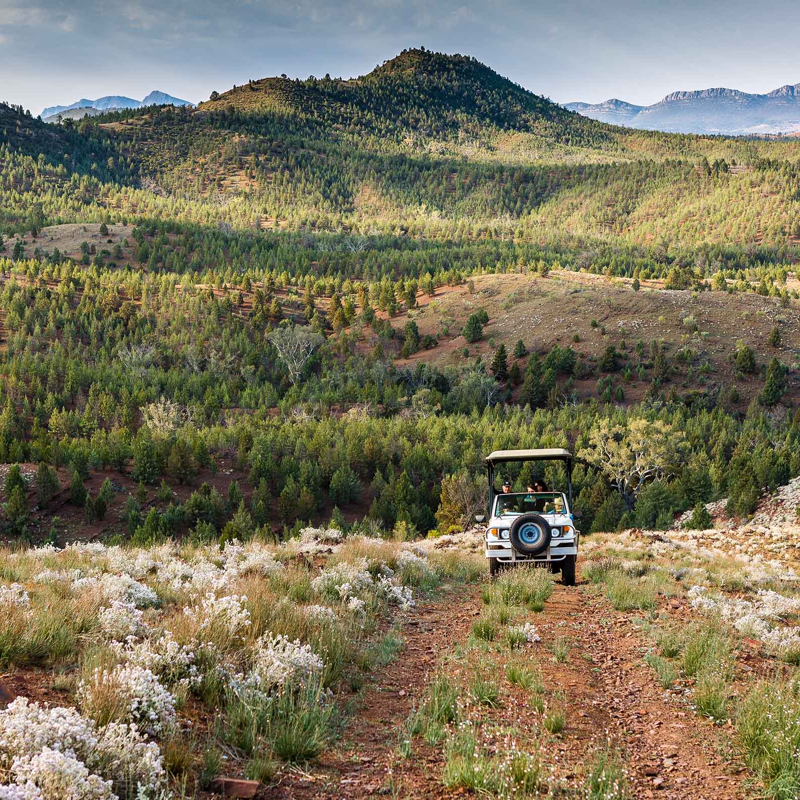 Arkaba destination - Luxurylodgesofaustralia.com.au