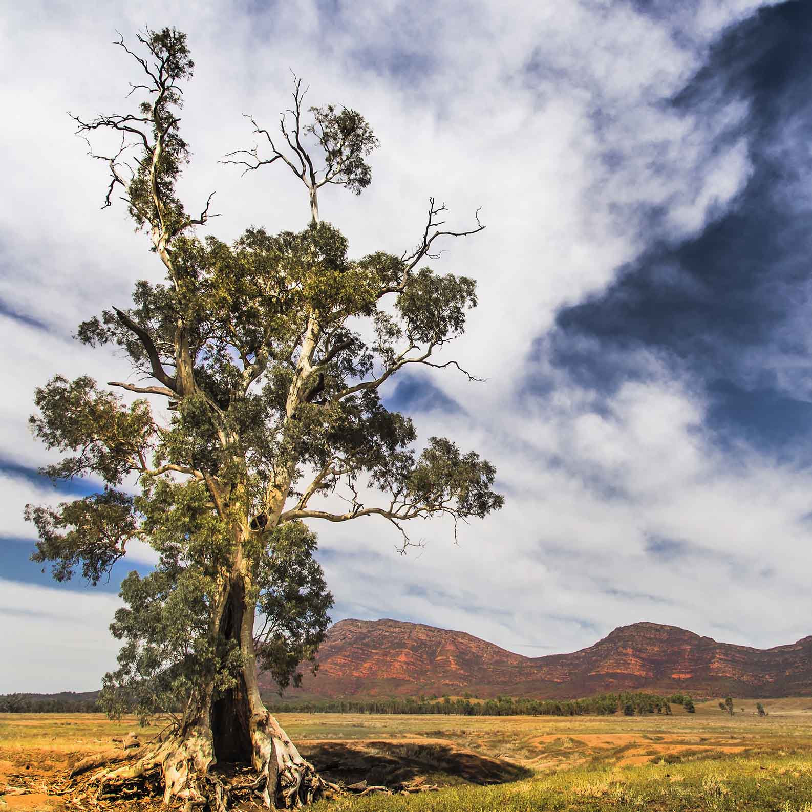 Arkaba destination - Luxurylodgesofaustralia.com.au