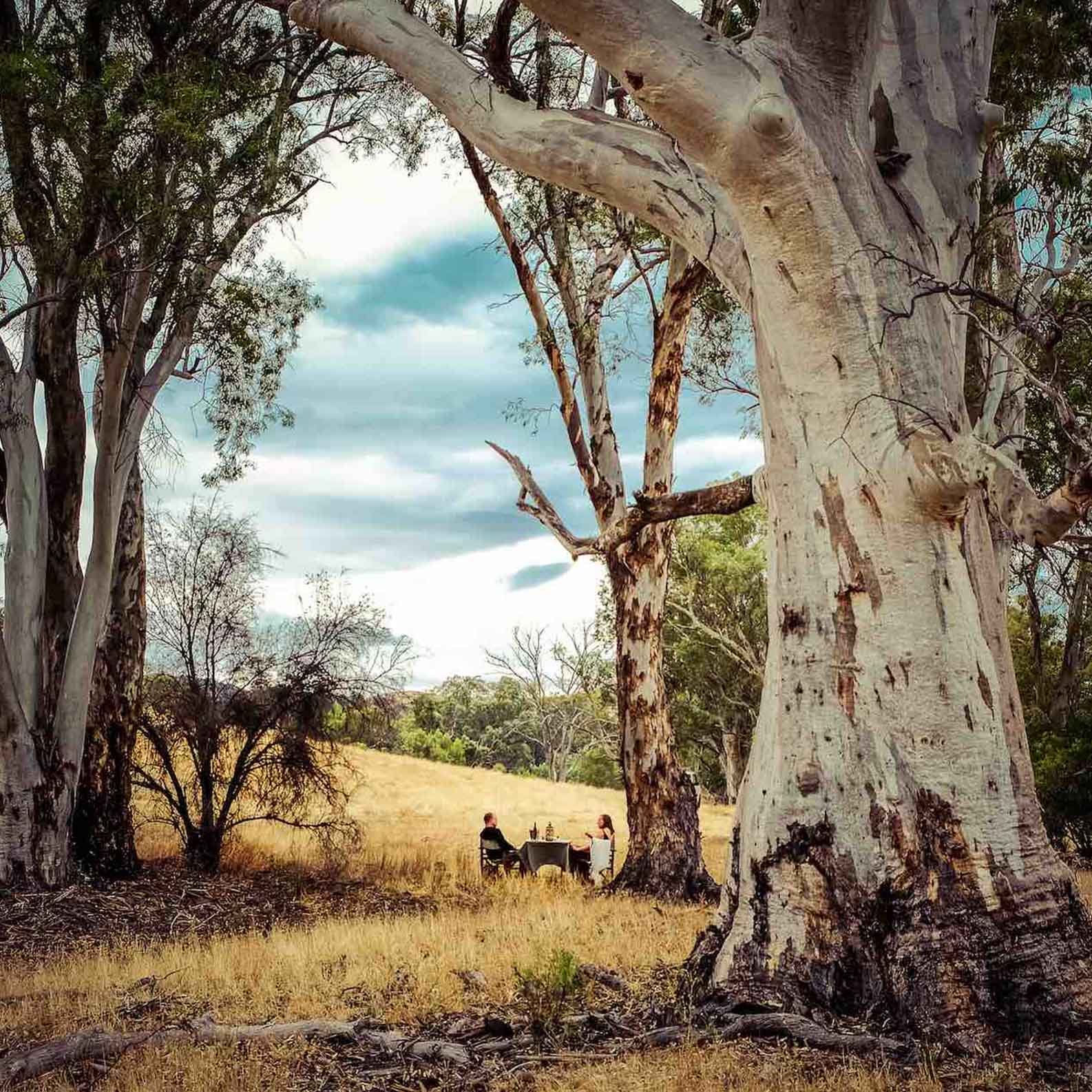 Arkaba dining - Luxurylodgesofaustralia.com.au
