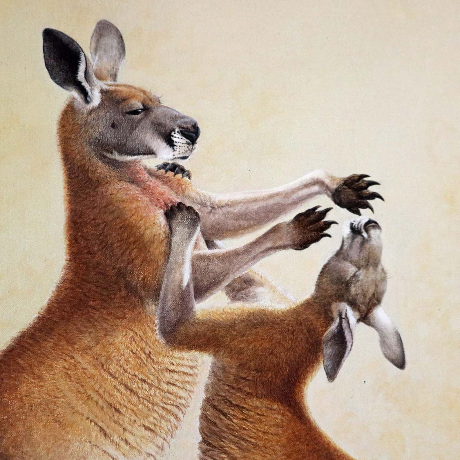 Arkaba accommodation - Luxurylodgesofaustralia.com.au