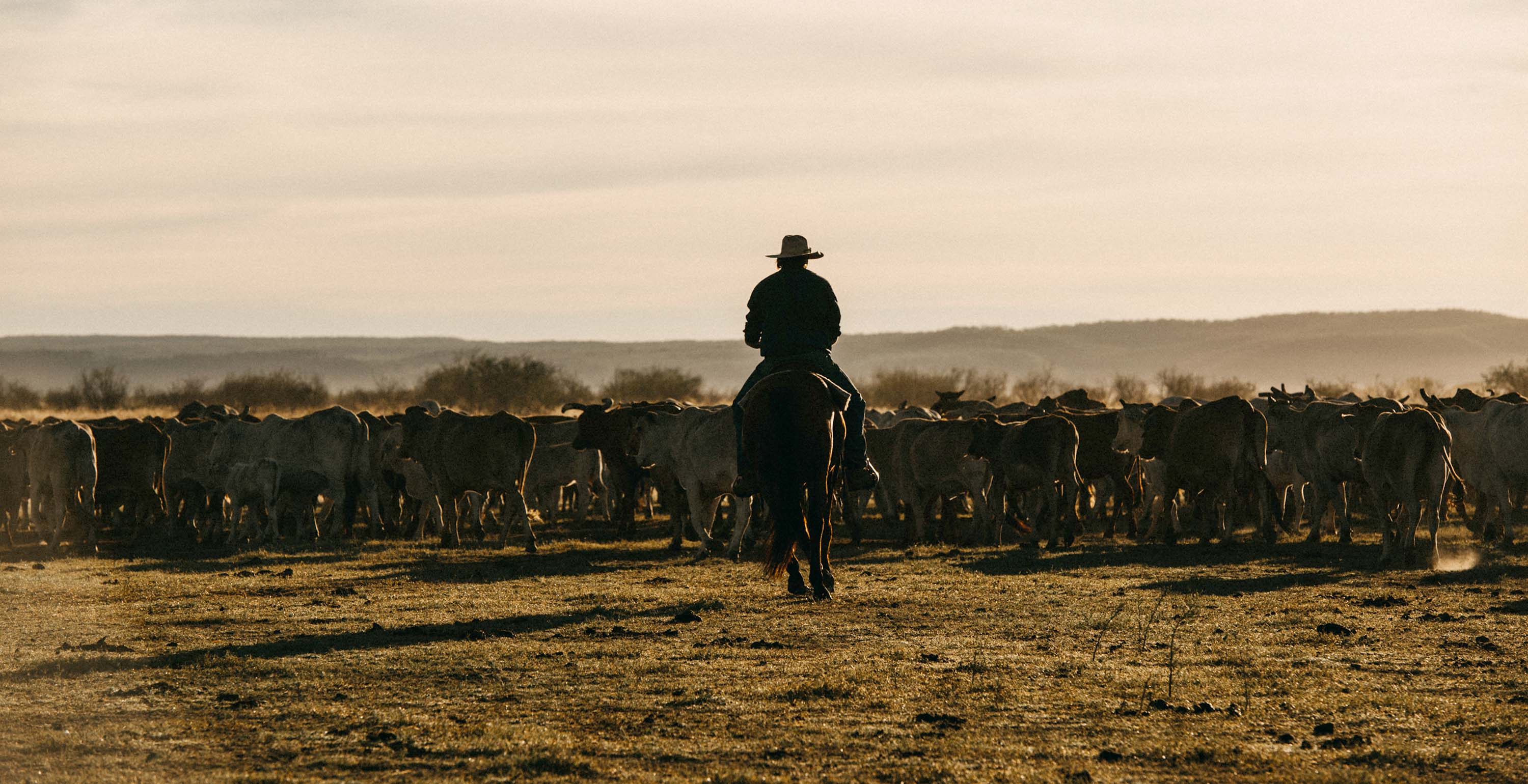 Station Tour - Luxurylodgesofaustralia.com.au