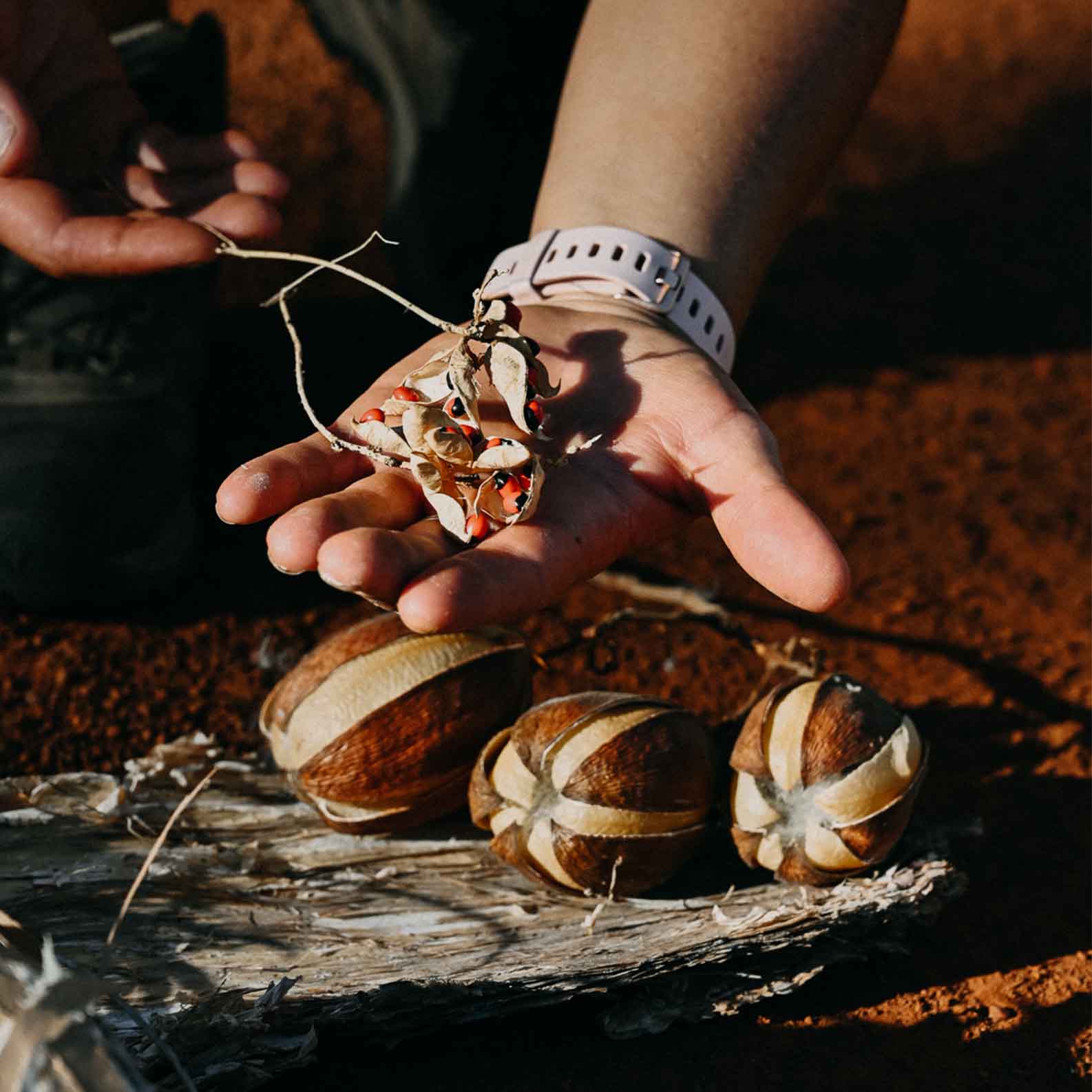 Bullo River Station people & purpose - Luxurylodgesofaustralia.com.au