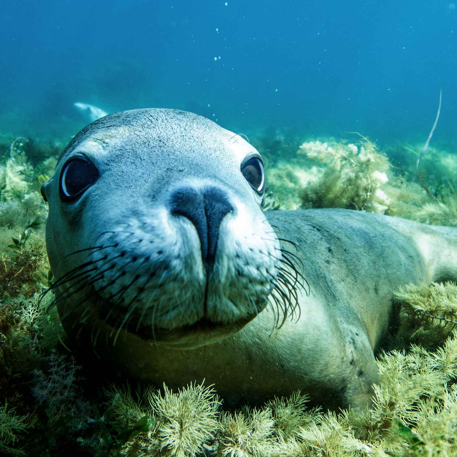True North Adventure Cruises destinations - Luxurylodgesofaustralia.com.au