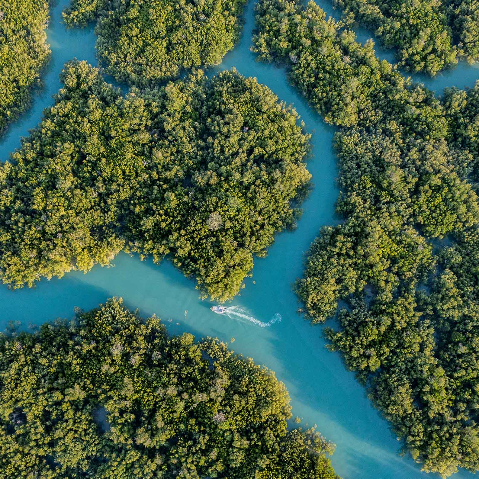 True North Adventure Cruises destinations - Luxurylodgesofaustralia.com.au