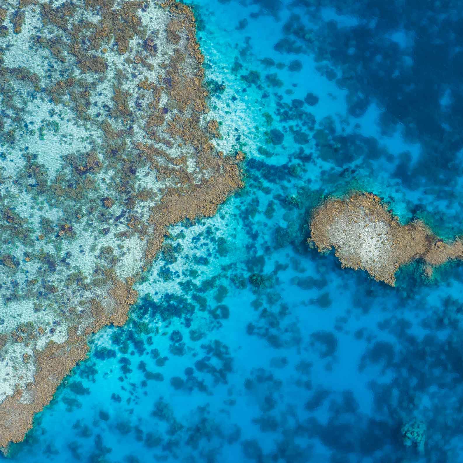 True North Adventure Cruises destinations - Luxurylodgesofaustralia.com.au