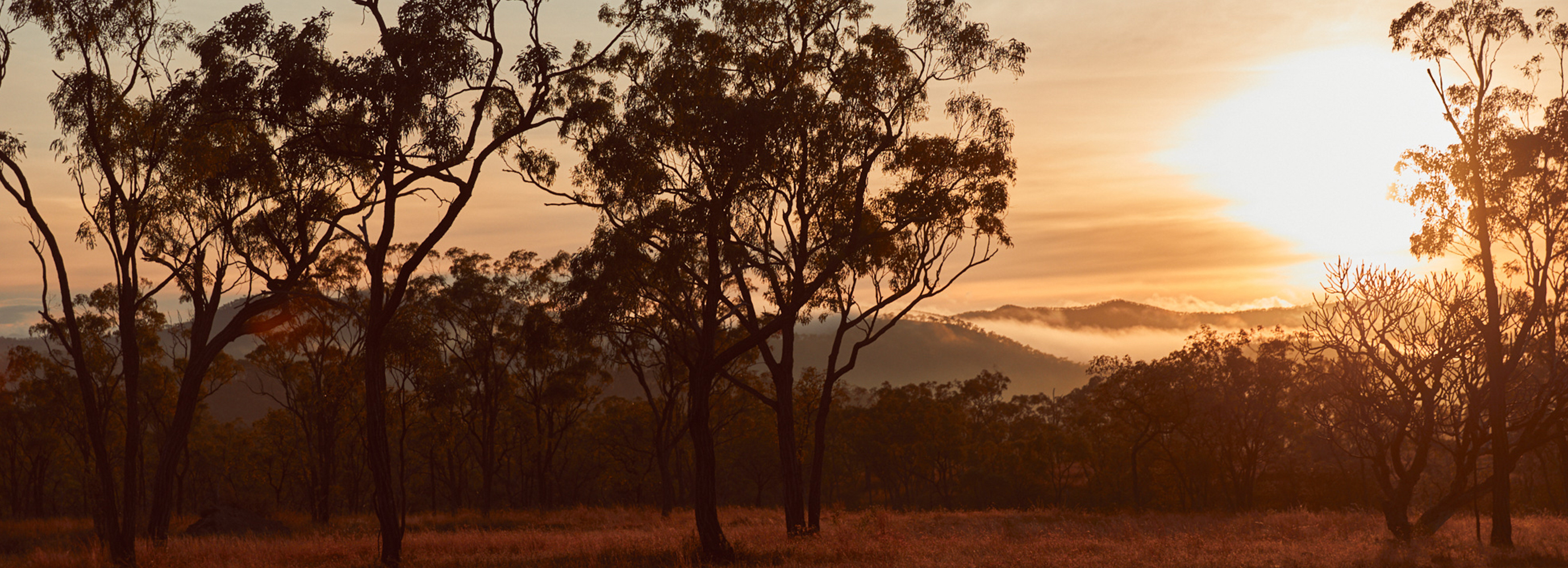 Perfect Outback Sunrise - Luxurylodgesofaustralia.com.au