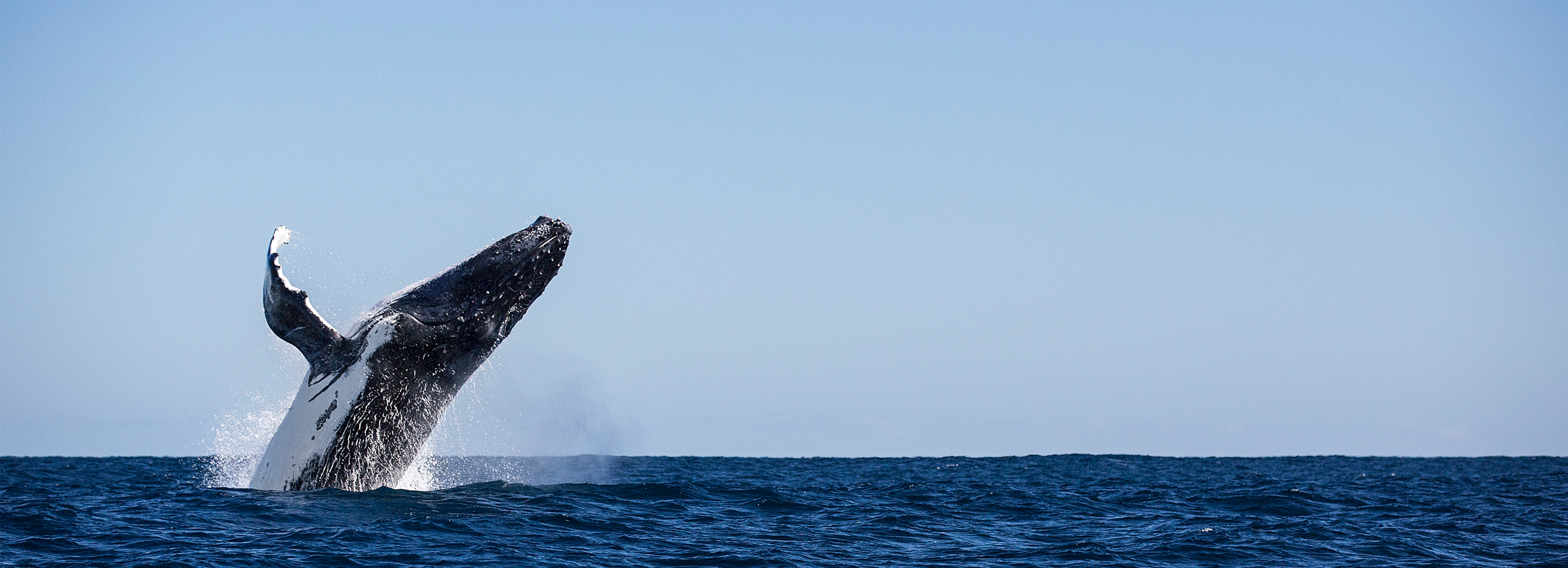 Exclusive Encounters - Luxurylodgesofaustralia.com.au