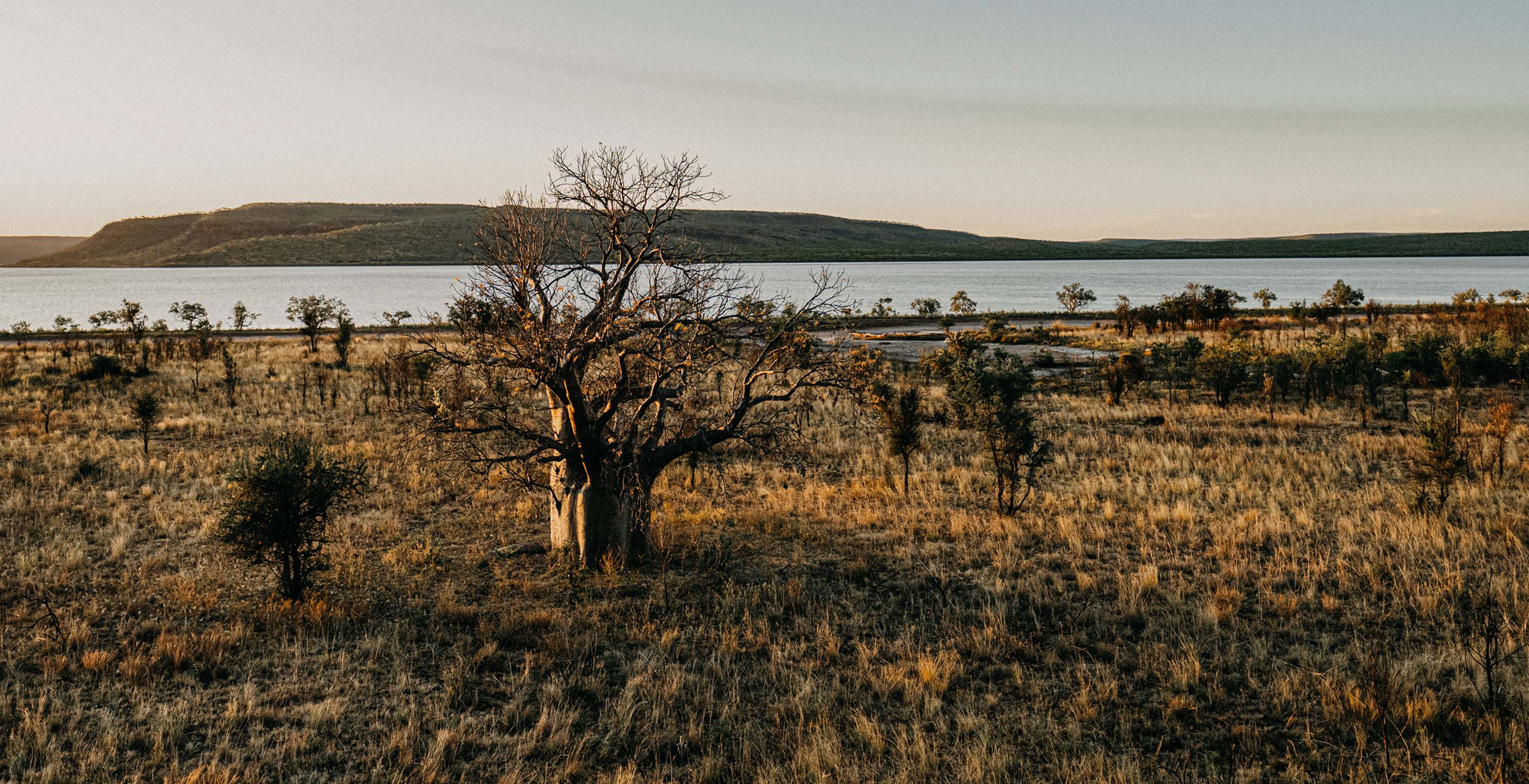 Pioneering Sustainable Conservation & Agriculture ...