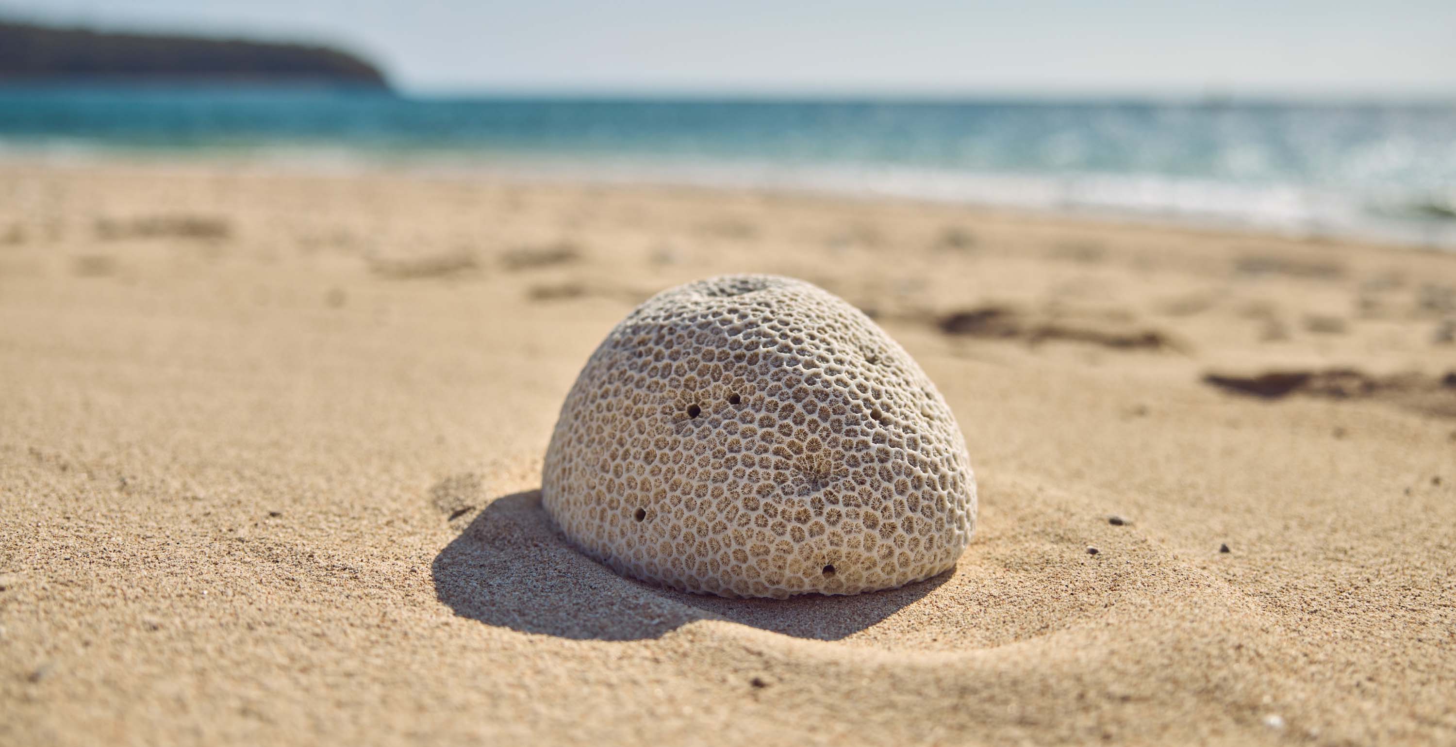 Low Tide Walk - Luxurylodgesofaustralia.com.au