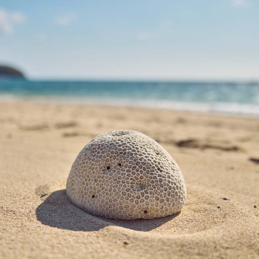 Low Tide Walk - Luxurylodgesofaustralia.com.au