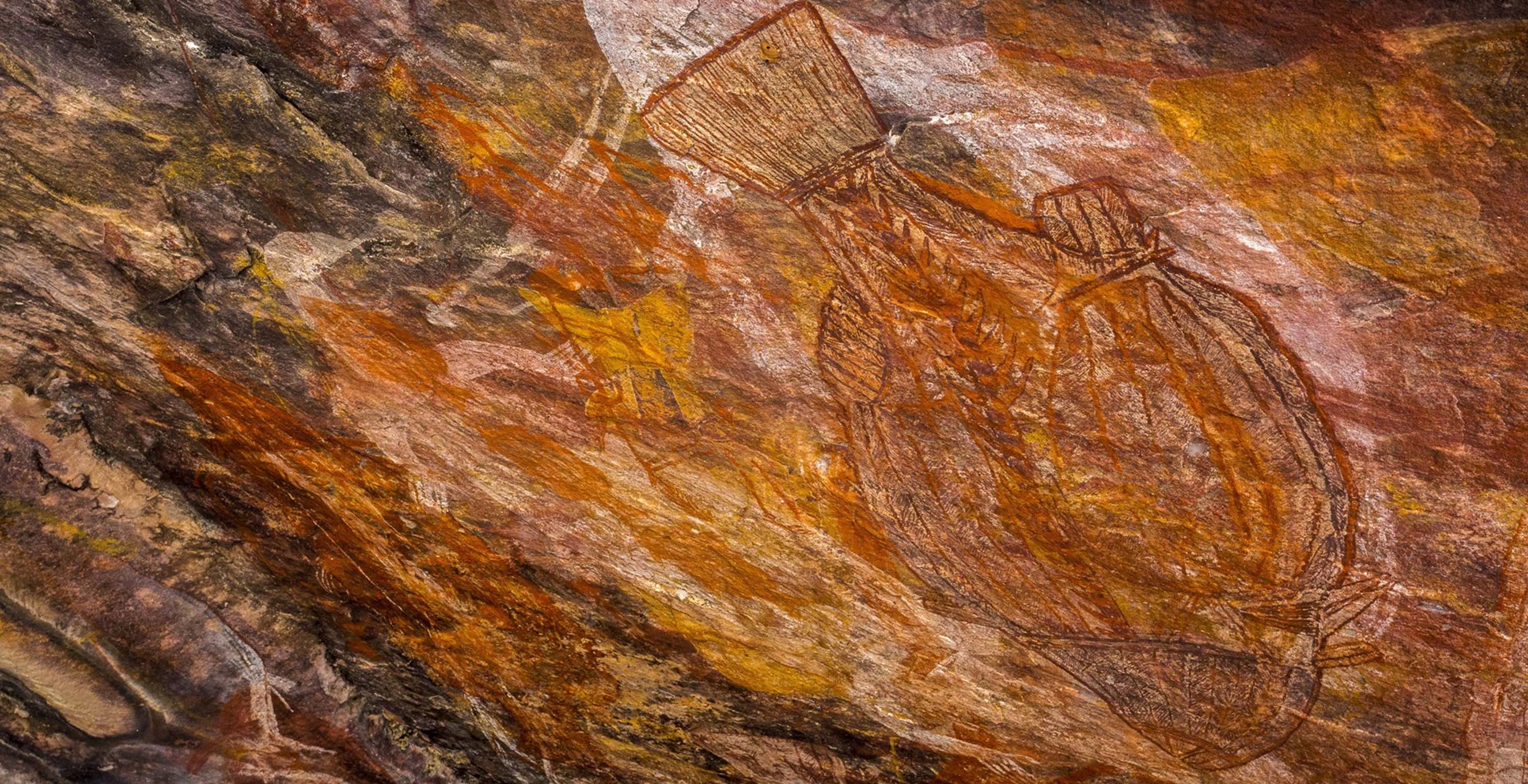 Explore Kakadu from Bamurru Plains - Luxurylodgesofaustralia.com.au