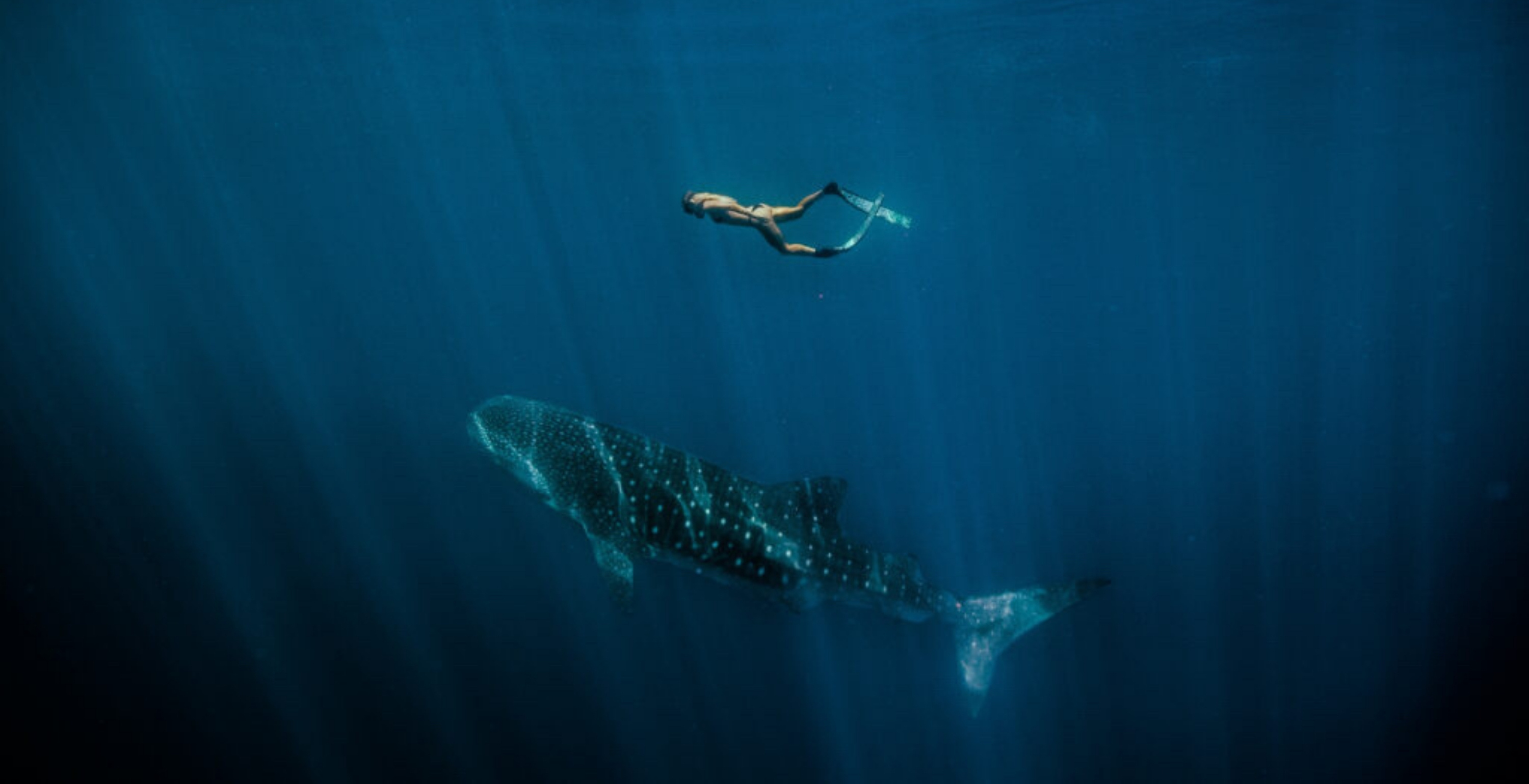 Stay & Swim at Sal Salis Ningaloo - Luxurylodgesofaustralia.com.au